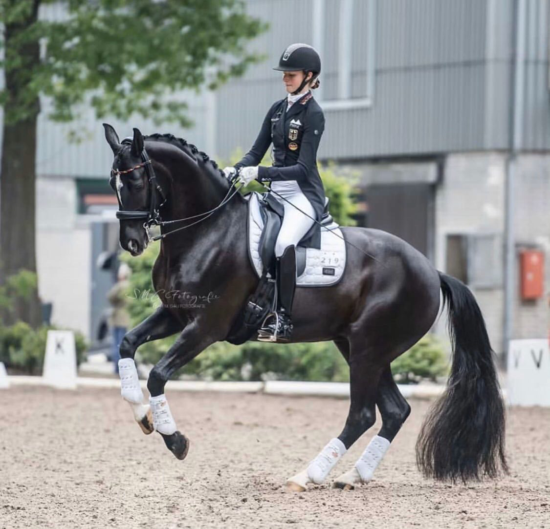 Semmieke Rothenberger - Equine LTS ApS